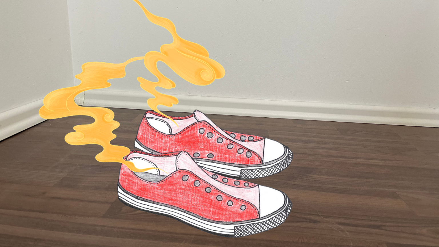 Schuhe Stinken Nach Katzenurin